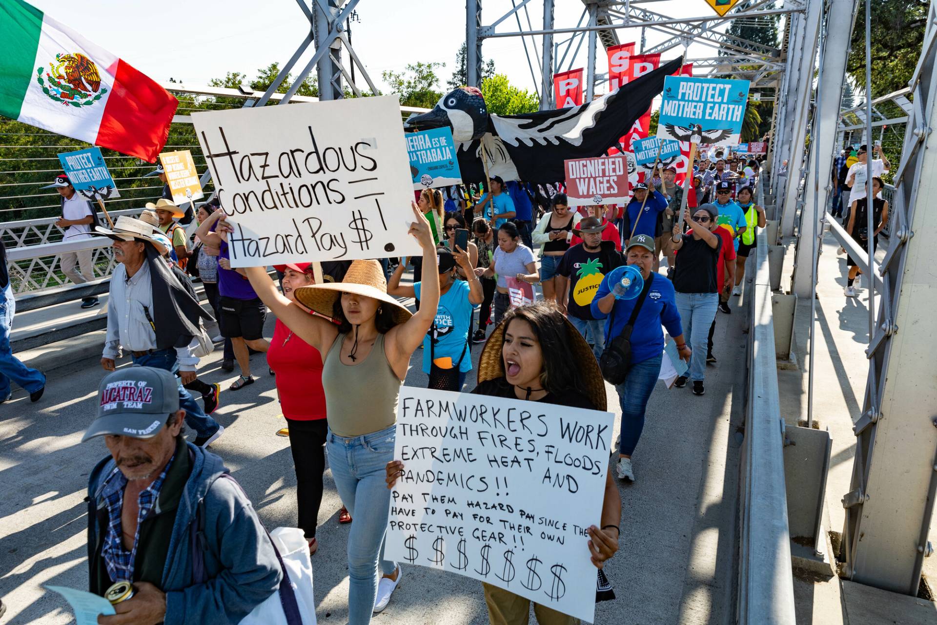 Farmworkers in Sonoma County Win Settlement After Alleged Retaliation ...