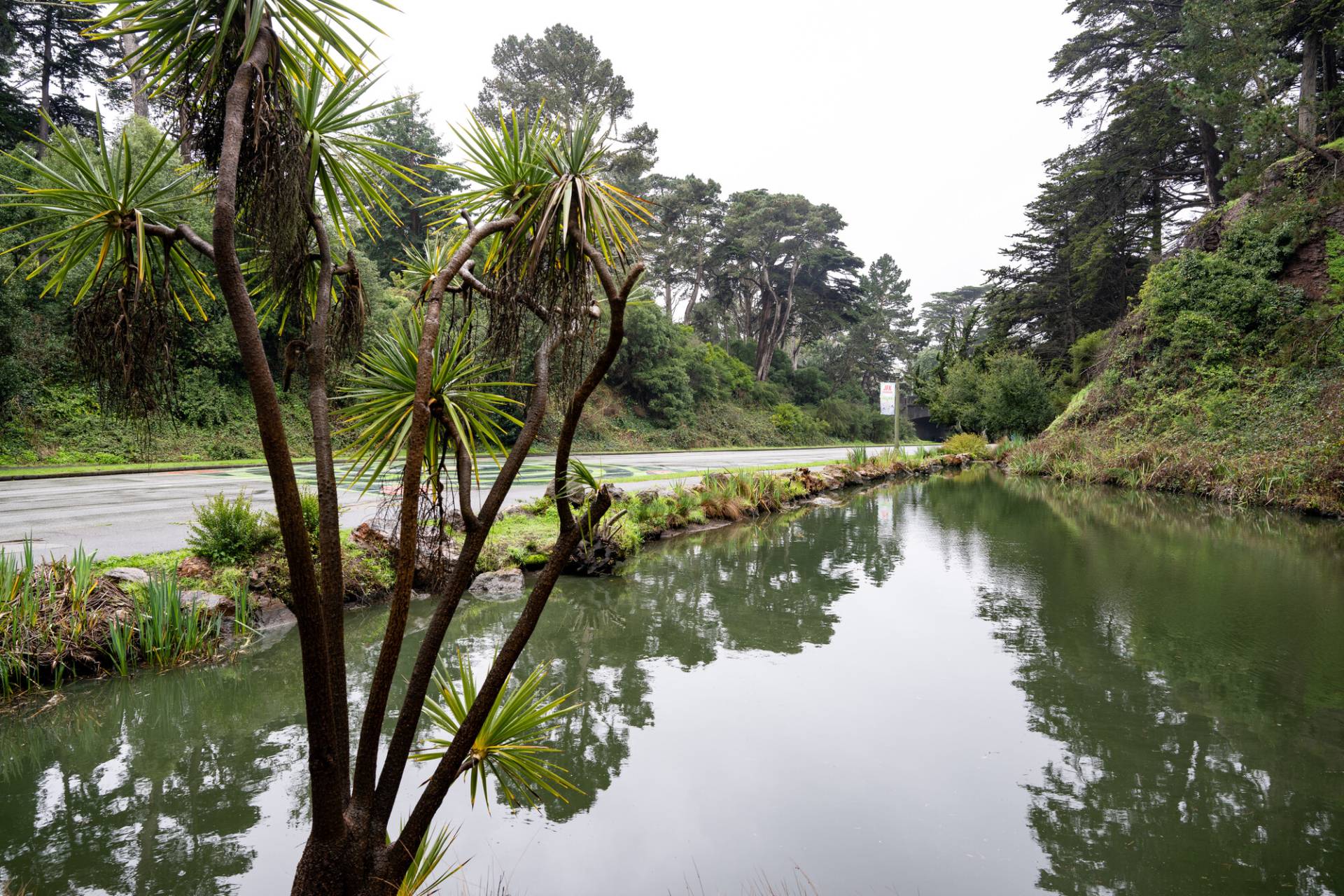 SF Parks Alliance to Shut Down Amid Misspending Scandal, Leaving ...