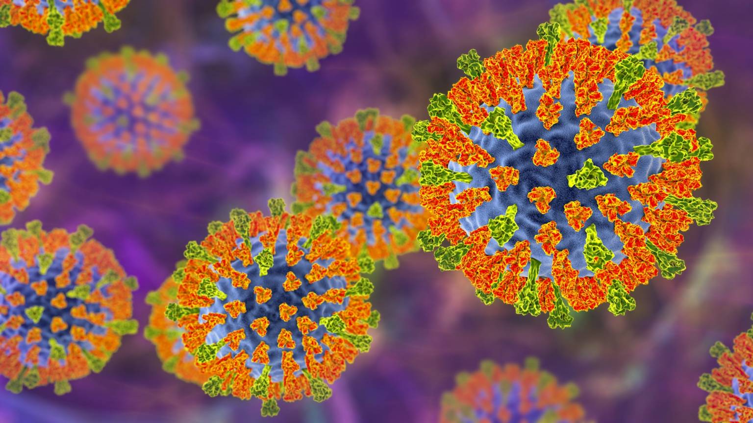 New Measles Cases in the Bay Area: How to Check Your Vaccination Status ...