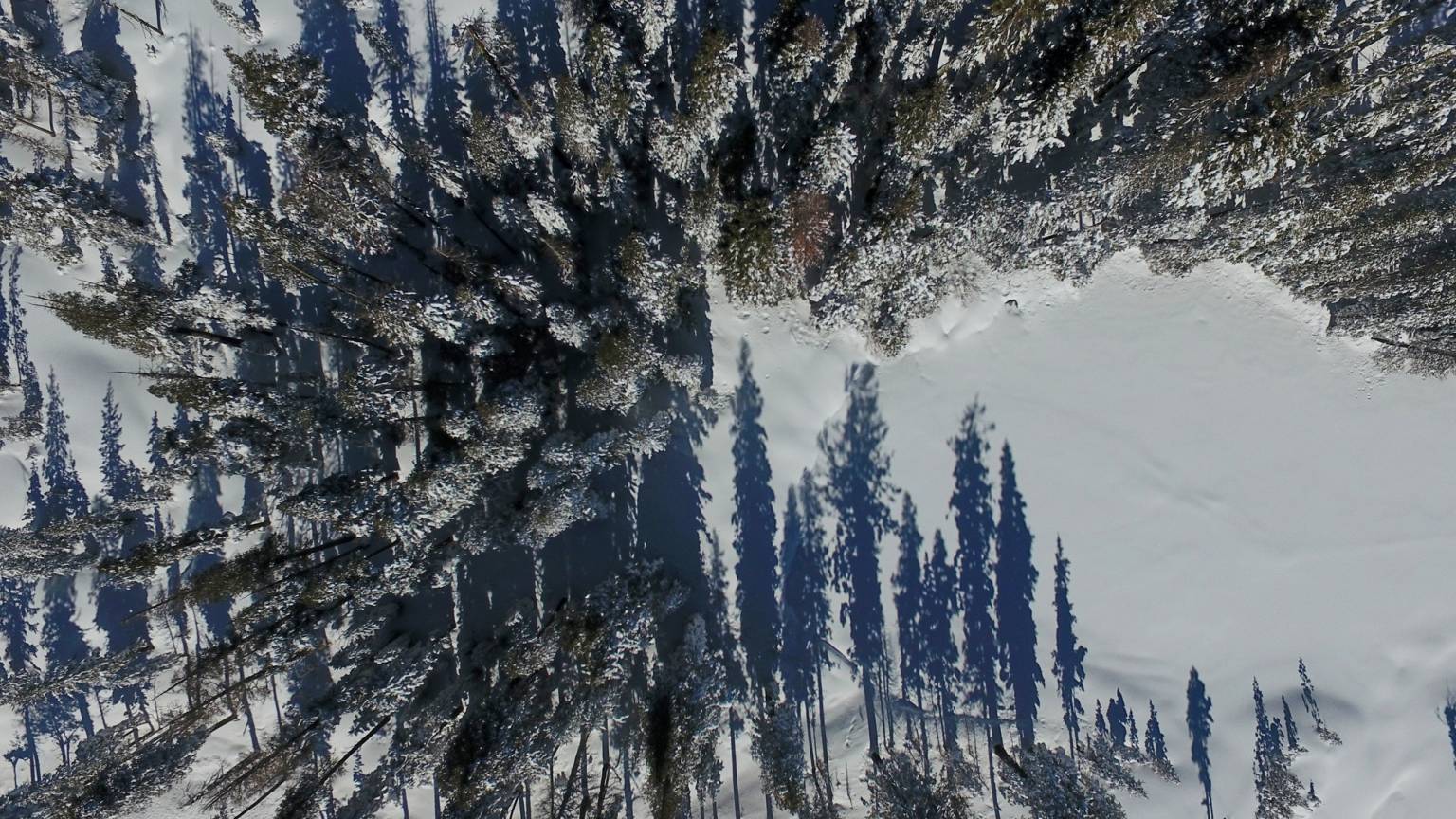 All 9 Tahoe Avalanche Victims Identified and Bodies Recovered | KQED