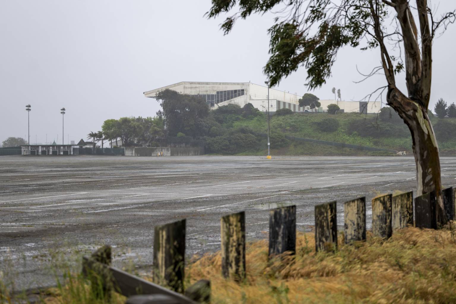 East Bay Racetrack Golden Gate Fields Could Soon Be a New Public ...