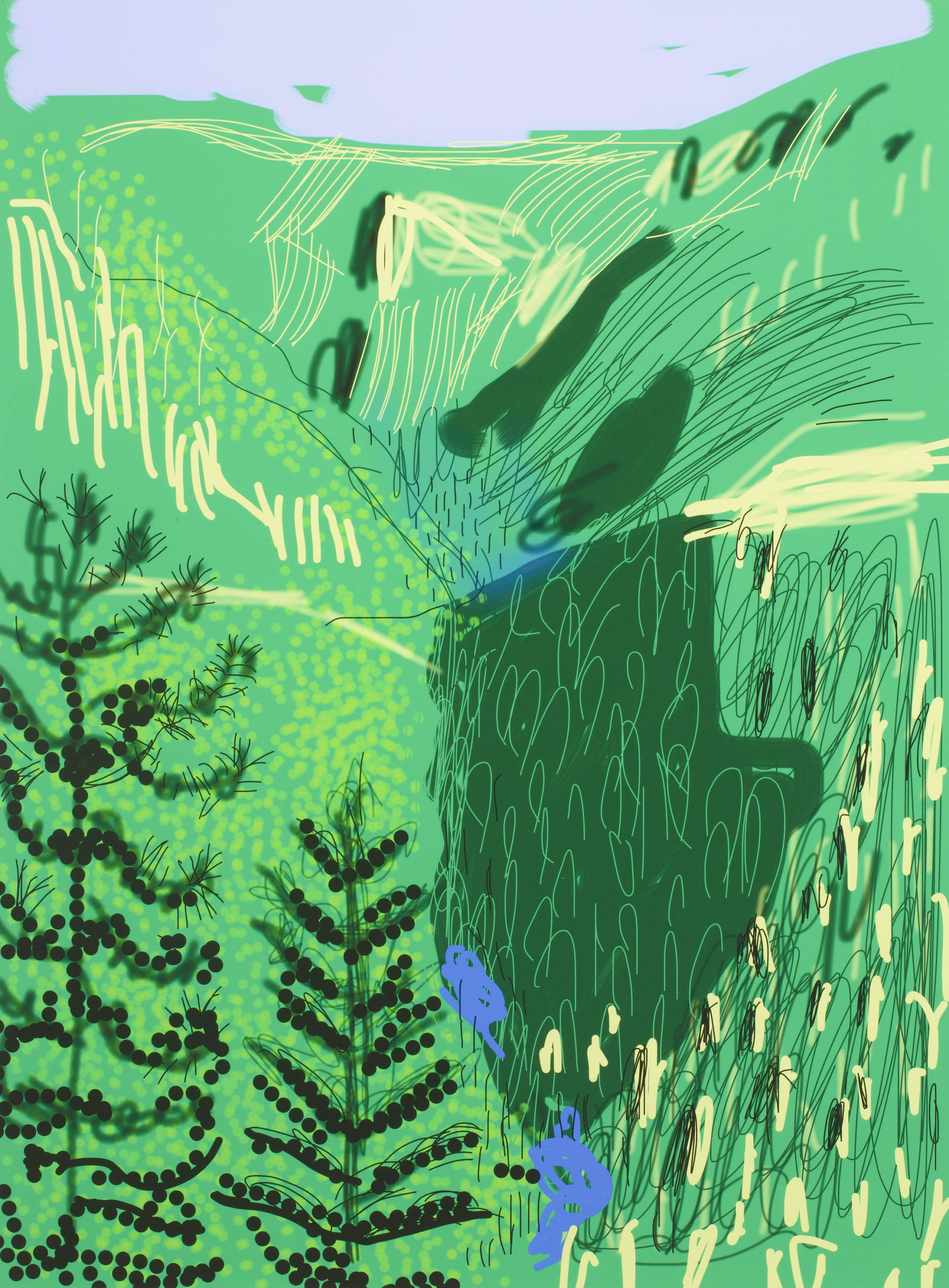 David Hockney Captures Yosemite with iPad Art | KQED