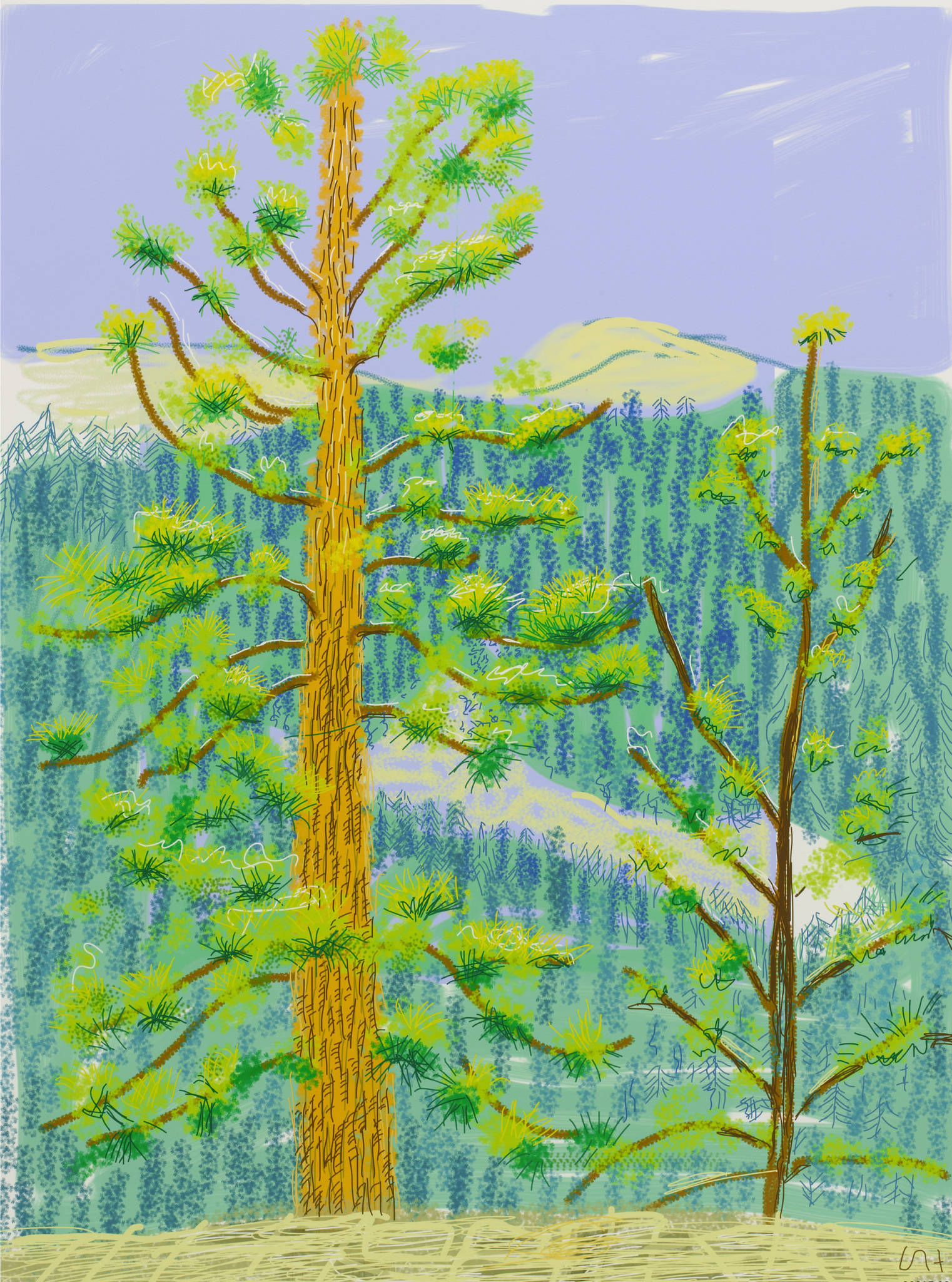 David Hockney Captures Yosemite with iPad Art | KQED
