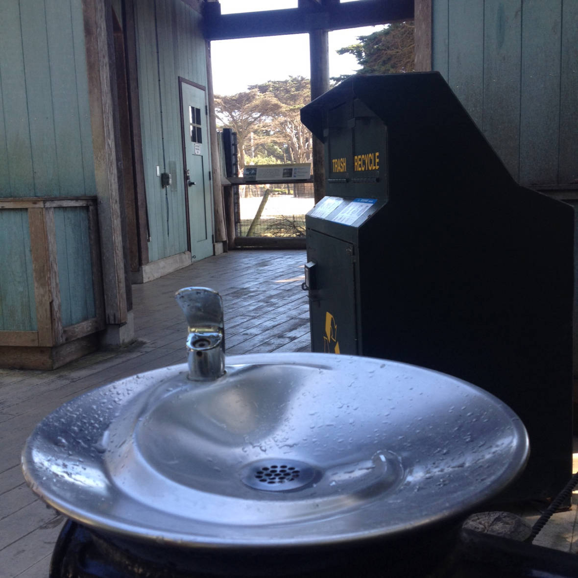 Let’s Drink: Scenic Water Fountains and Why It’s Radical to Use Them | KQED