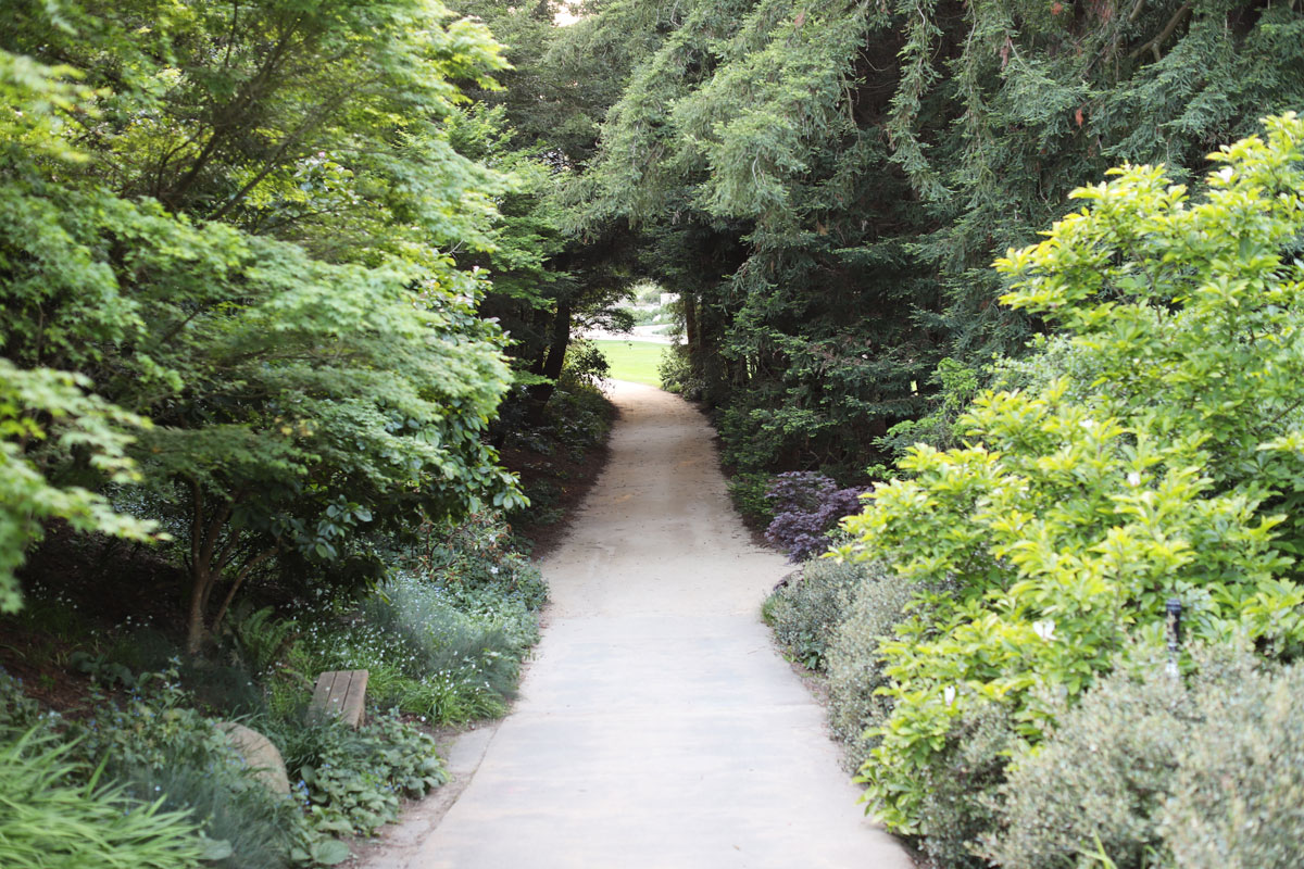 How the AIDS Memorial Grove Became the True Heart of San Francisco | KQED