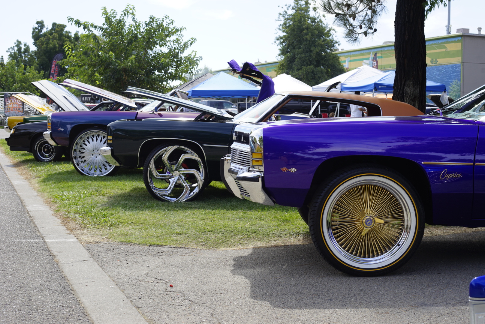 Finally, a Legal Sideshow | KQED