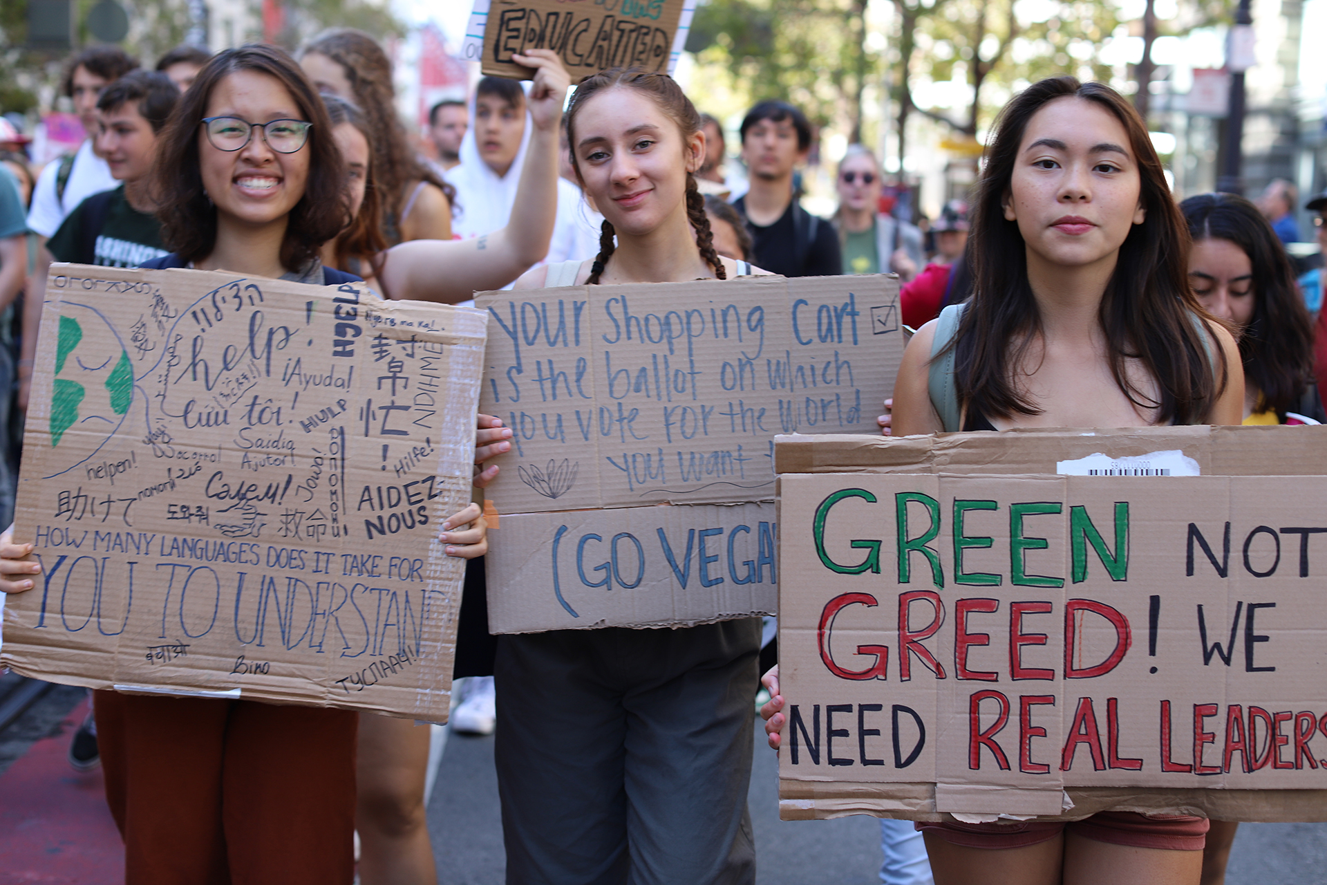 'Green Not Greed': Young Climate Protesters in their Own Words (and ...