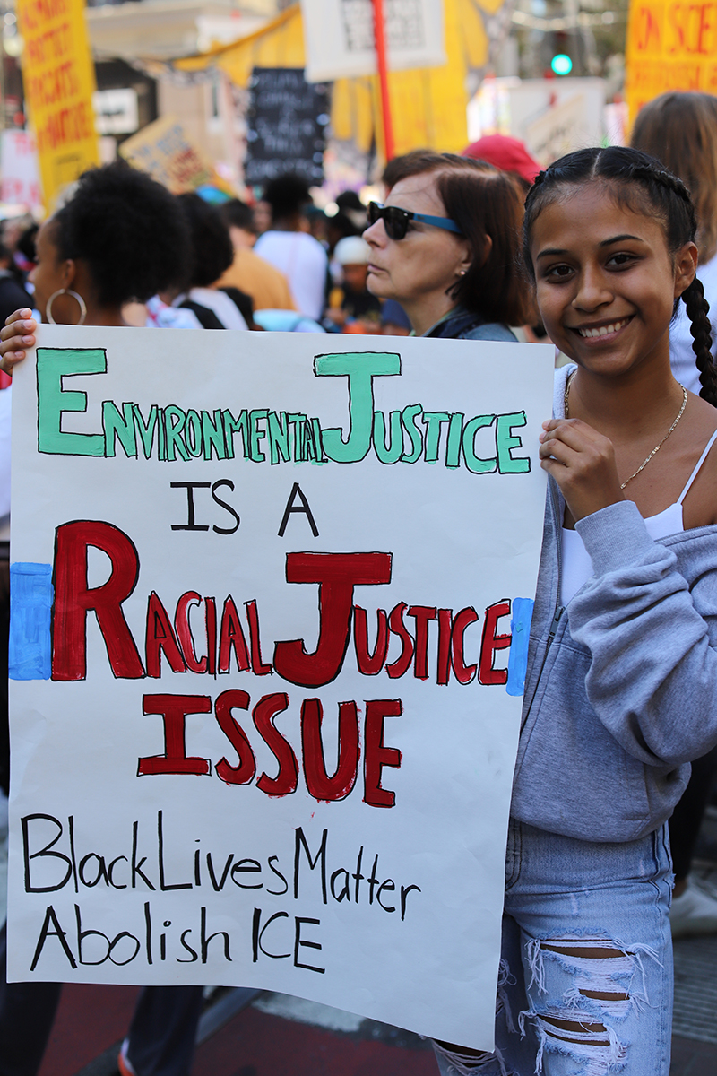 'Green Not Greed': Young Climate Protesters in their Own Words (and ...