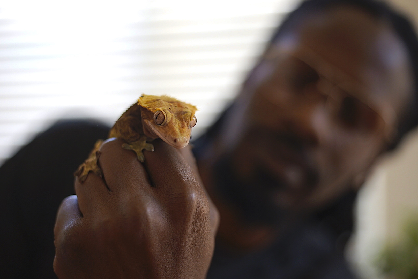 Trap Nature with Scid the Snakeman | KQED