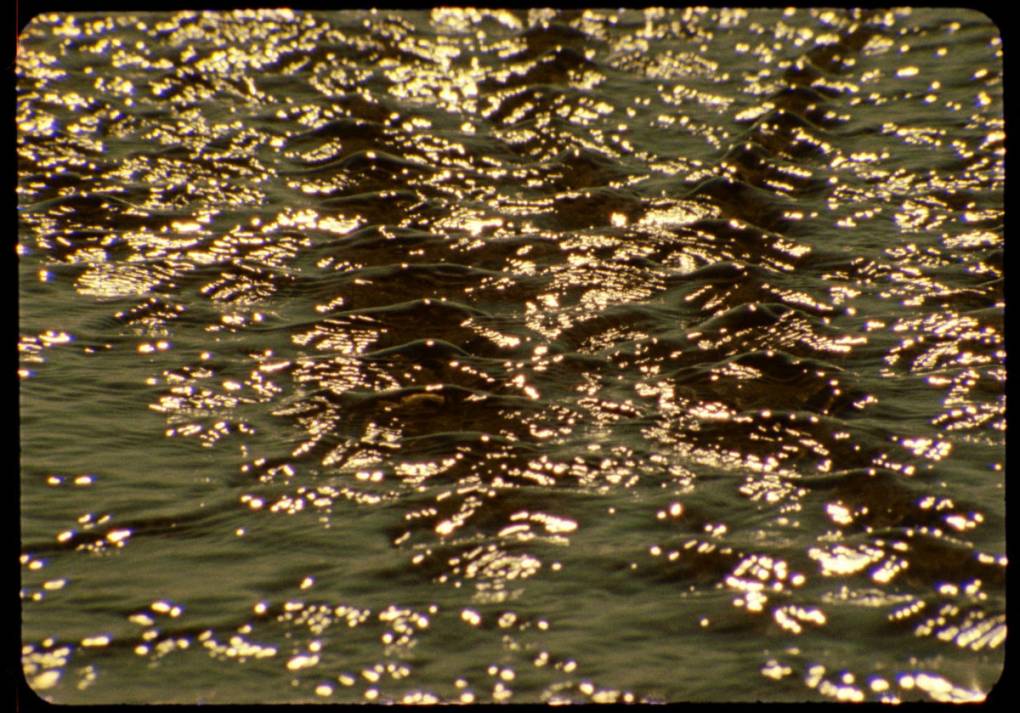 CANCELED: Now Playing! Light Field Trips Out on Celluloid at The Lab | KQED