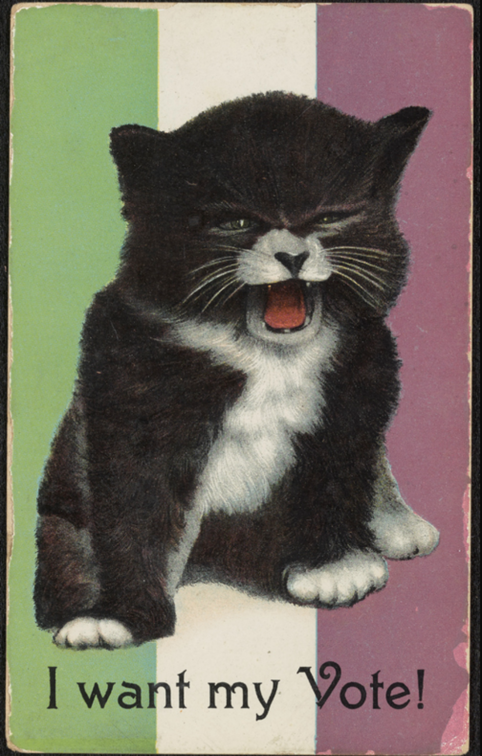 How the ‘Crazy’ Cat Lady Became One of Pop Culture’s Most Enduring ...