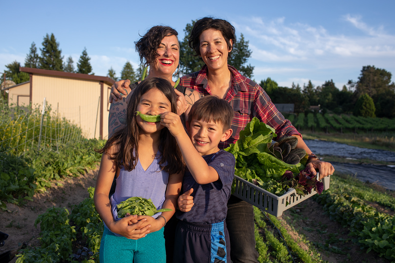 Growing Asian Produce Helped This Sonoma Farmer Connect With Her ...