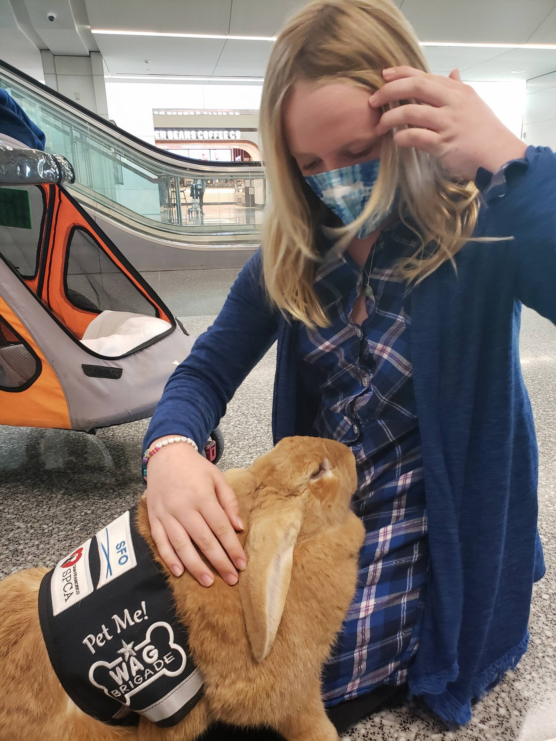 I Met SFO's Giant Rabbit Alex the Great, and Everything is Better Now ...