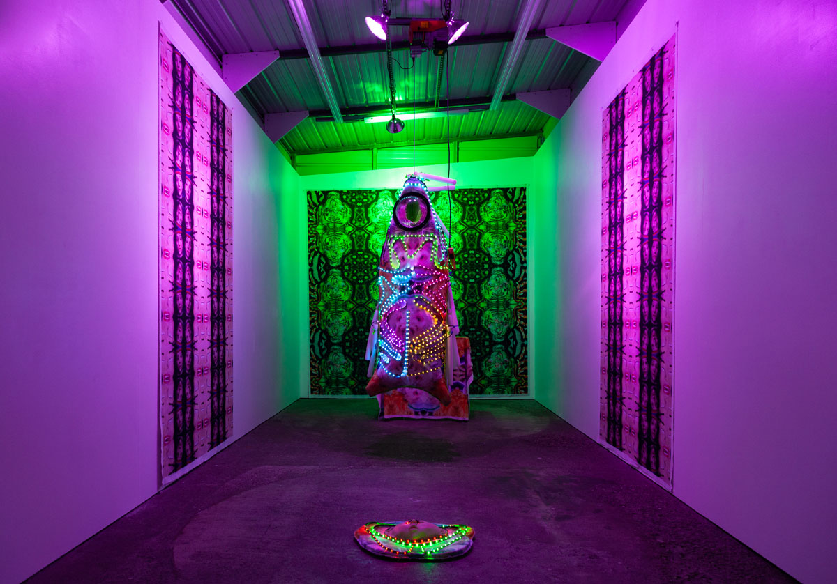 Cloaca Projects’ Final Show: Kerri Conlon’s ‘Ambulatory’ | KQED