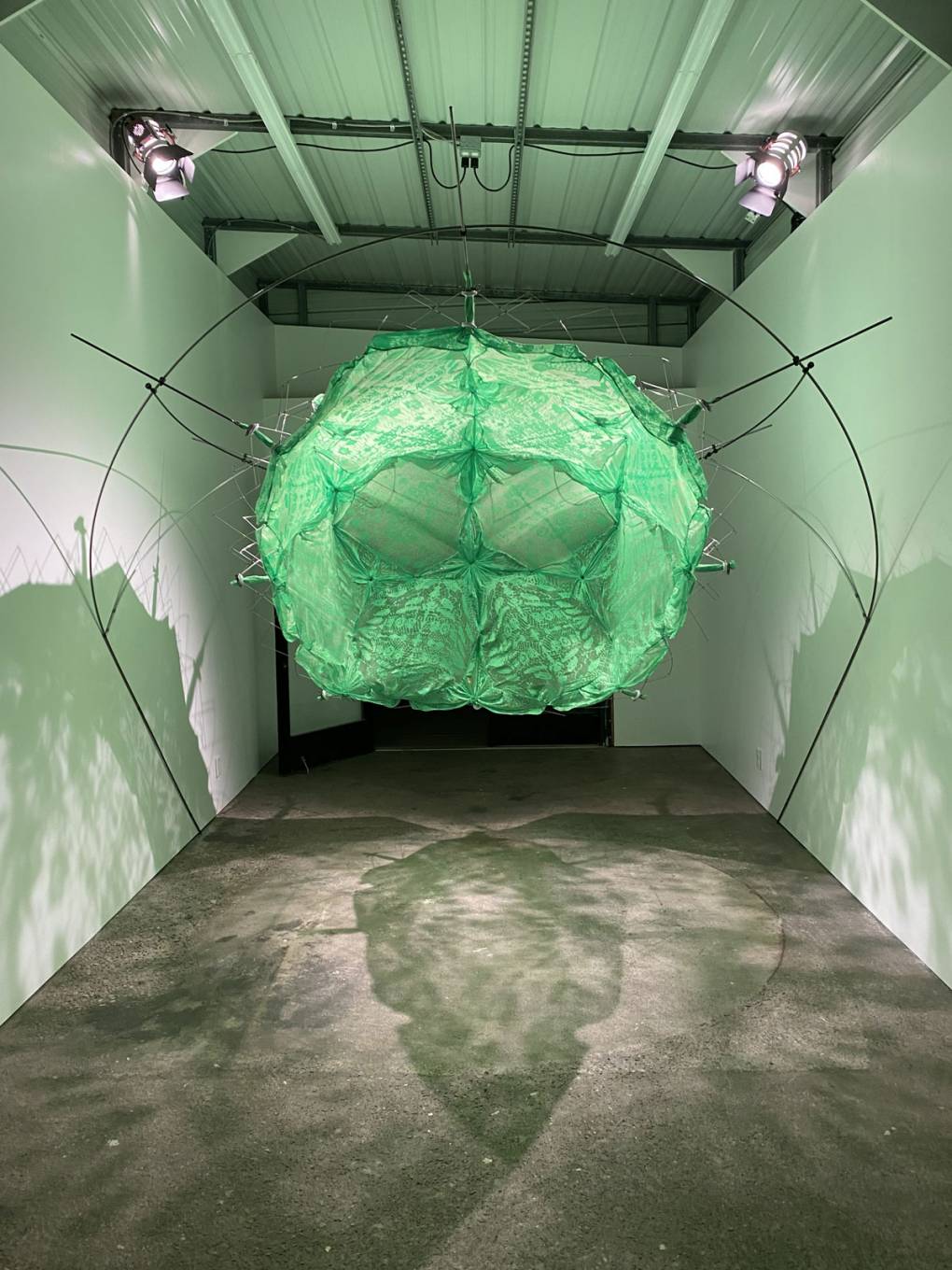 Cloaca Projects’ Final Show: Kerri Conlon’s ‘Ambulatory’ | KQED