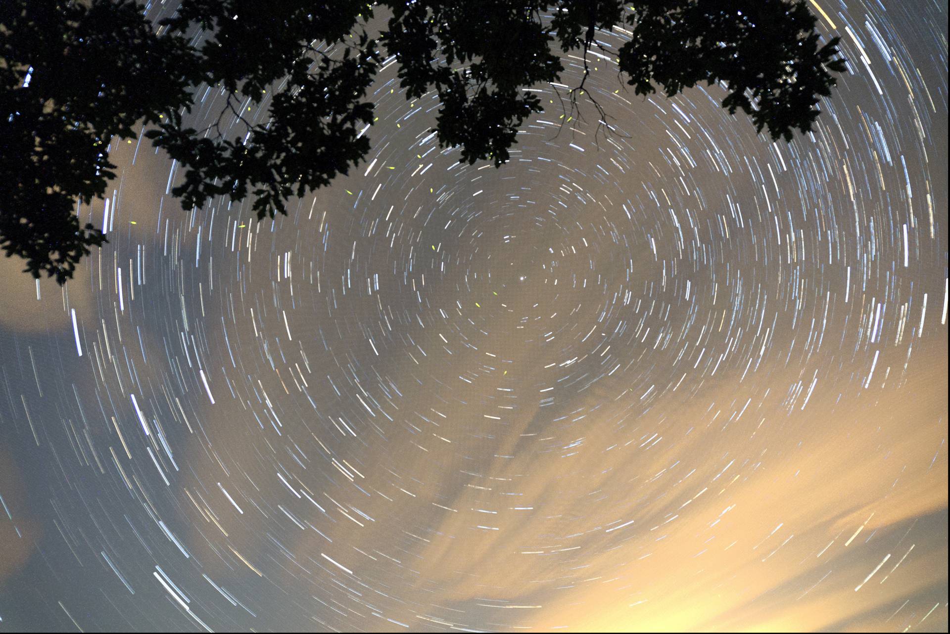 Crossroads 2022 Celebrates Avant-Garde Film’s Pandemic Poets | KQED