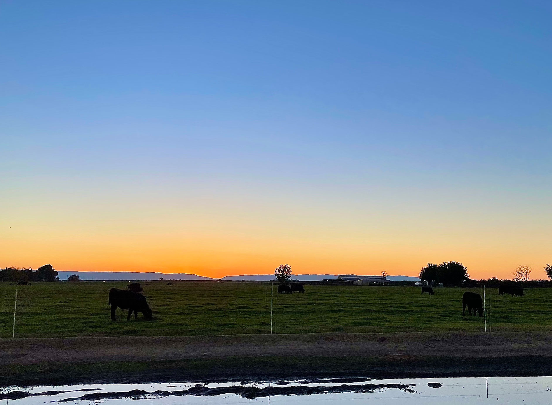 The Most Memorable Sunset of the Year | KQED