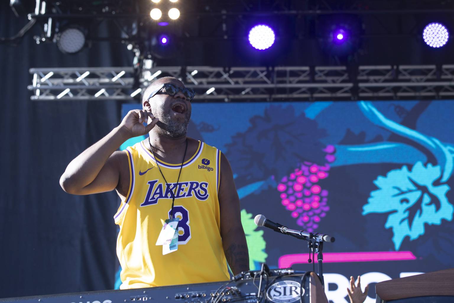 Summer 2024: Bay Area Music Festivals and Outdoor Concerts | KQED