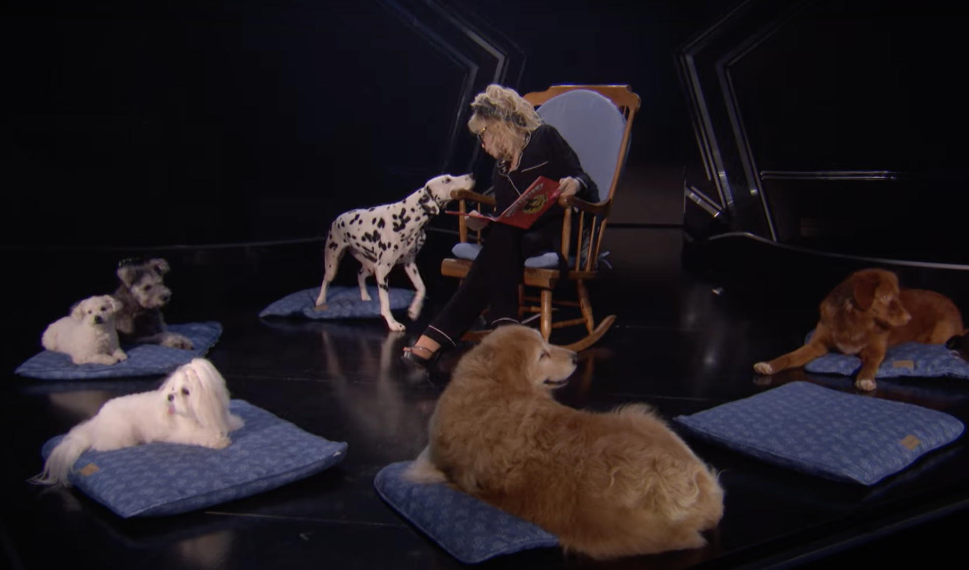 ‘Dolly Parton’s Pet Gala’ TV Review: Surreal, Wholesome Hilarity | KQED