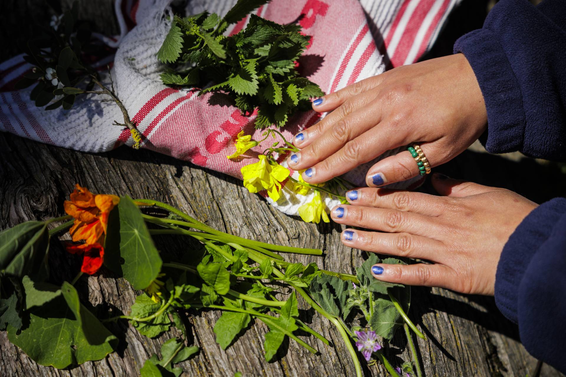 A Foraging Walking Tour With Asian American Roots in Berkeley and SF | KQED