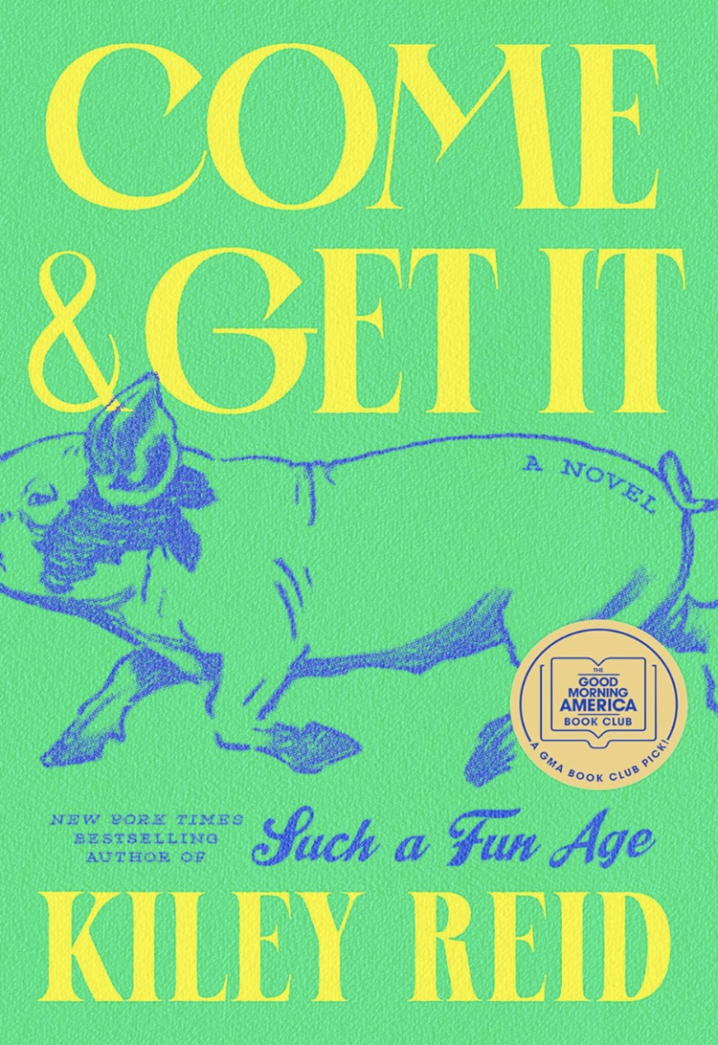 Best Fiction Books of Summer 2024, According to NPR Staff | KQED