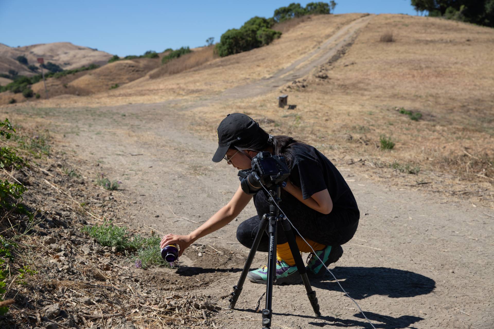 Climate Justice, Land Back Films at the New Parkway | KQED