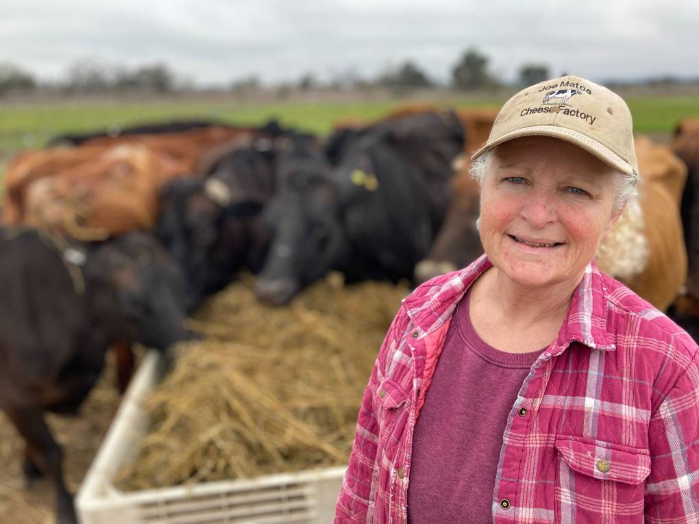 Joe Matos Cheese Factory to Close After 45 Years in Santa Rosa | KQED