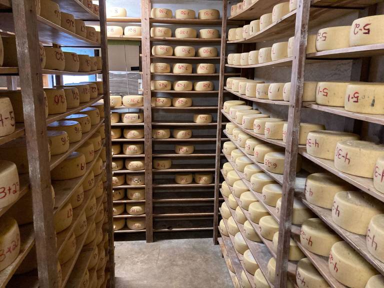 Joe Matos Cheese Factory to Close After 45 Years in Santa Rosa | KQED