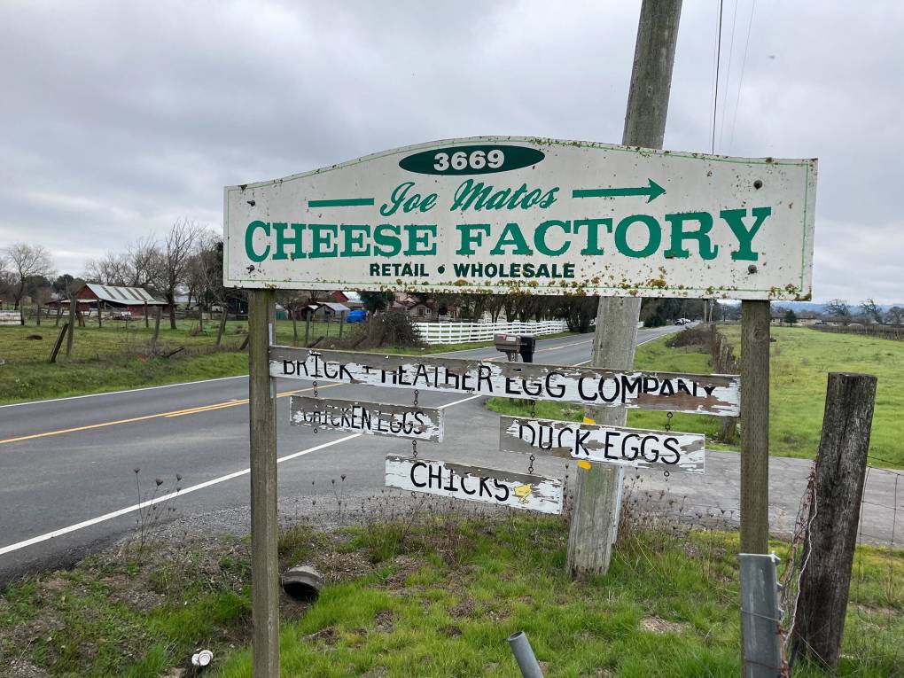 Joe Matos Cheese Factory to Close After 45 Years in Santa Rosa | KQED