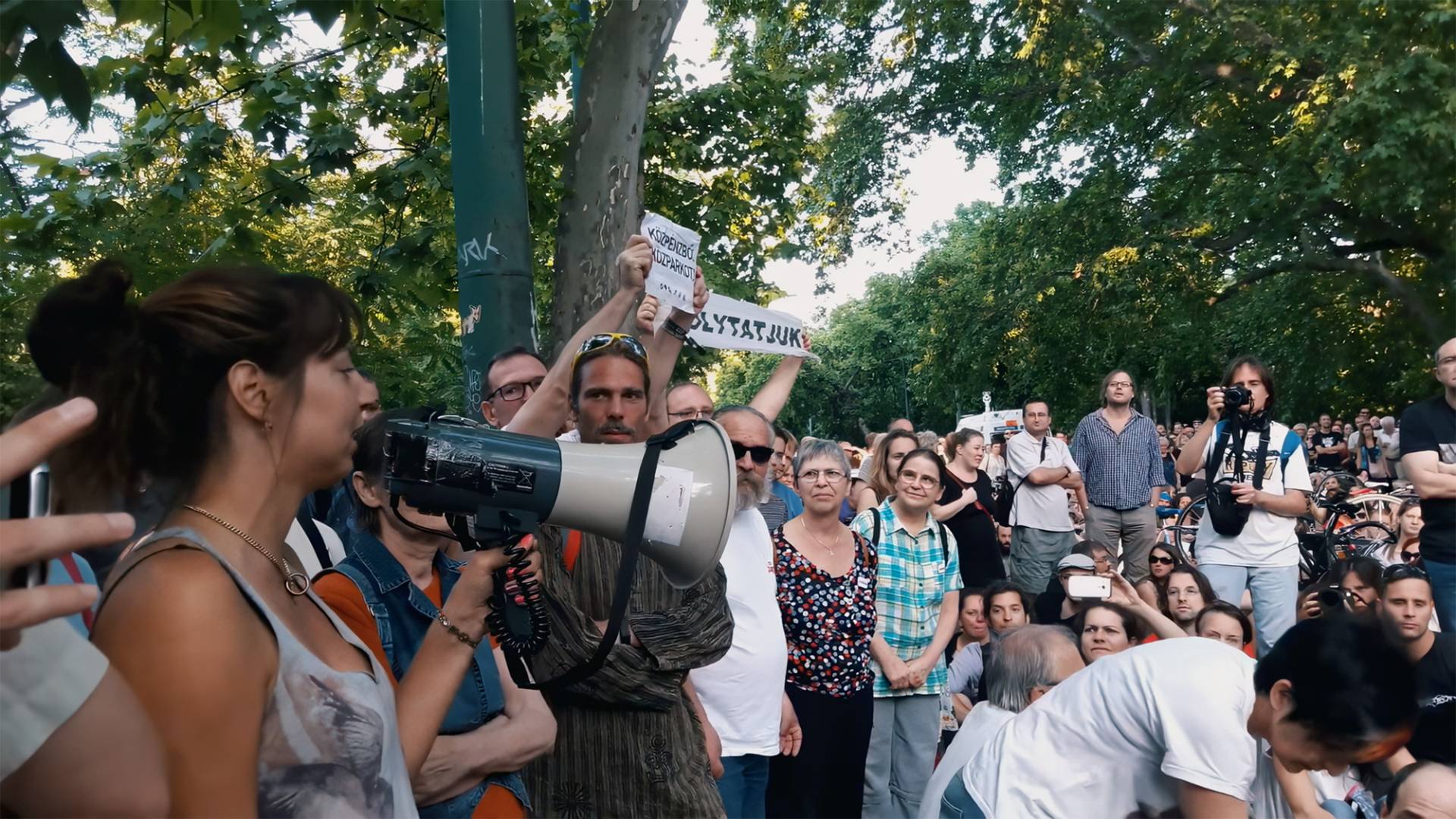 Former Sundance Director Now Helms Sebastopol Film Festival | KQED