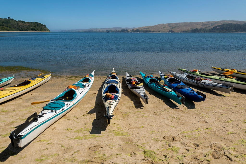 The 20 Best Swimming Spots and Public Pools in the Bay Area | KQED