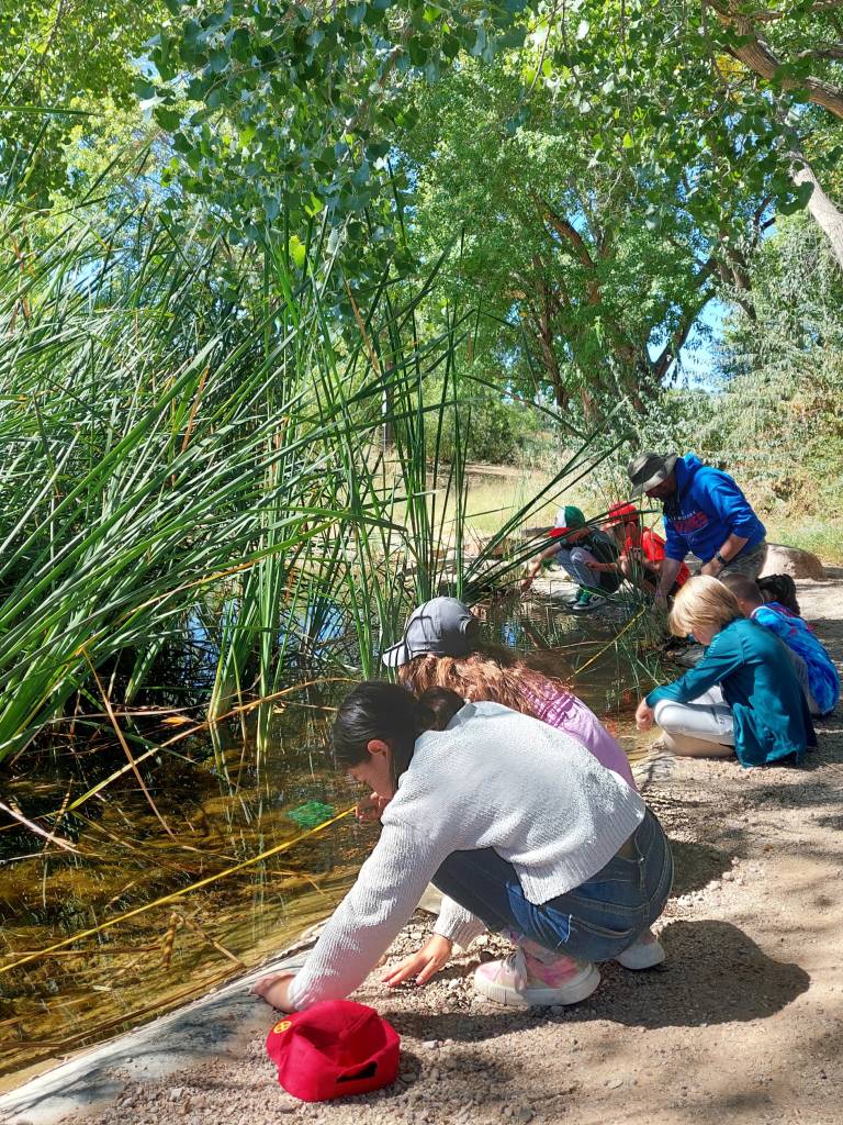 How Incorporating Indigenous Knowledge Can Deepen Outdoor Education | KQED