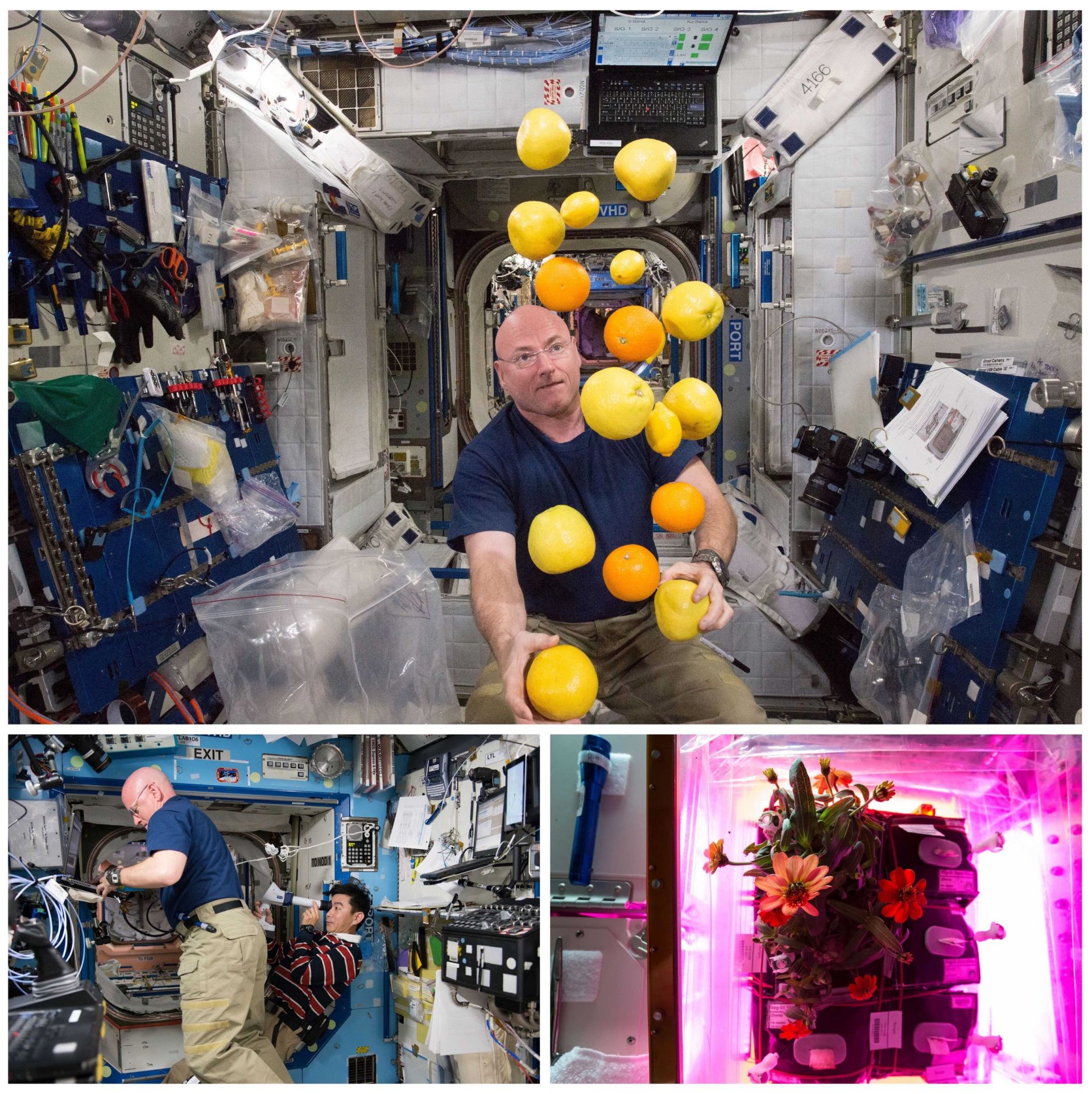 Scott Kelly Reflects on His Year Off the Planet | KQED