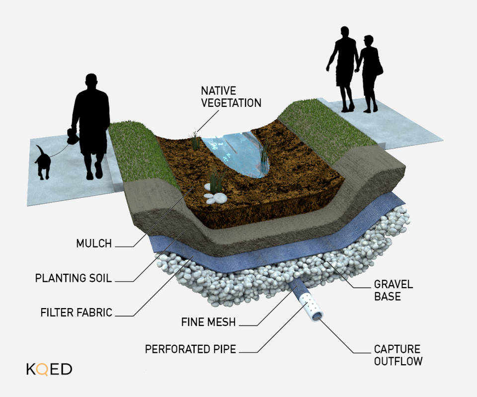 Catching Storm Runoff Could Ease Droughts, But It's No Quick Fix | KQED