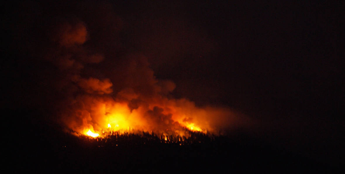 Let It Burn: The Forest Service Wants to Stop Putting Out Some Fires | KQED