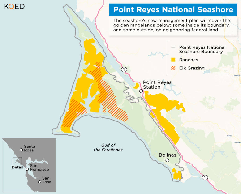 The Contentious Future of Point Reyes -- Here's What You Need to Know ...