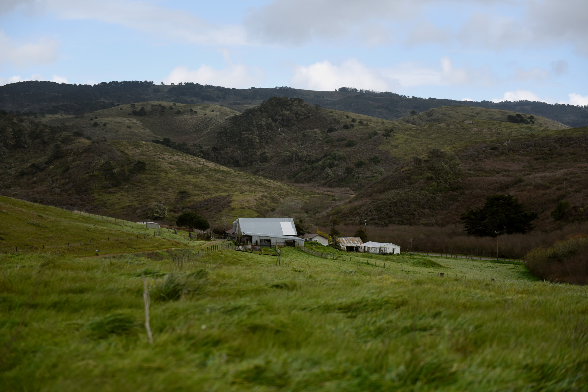 The Contentious Future of Point Reyes -- Here's What You Need to Know ...