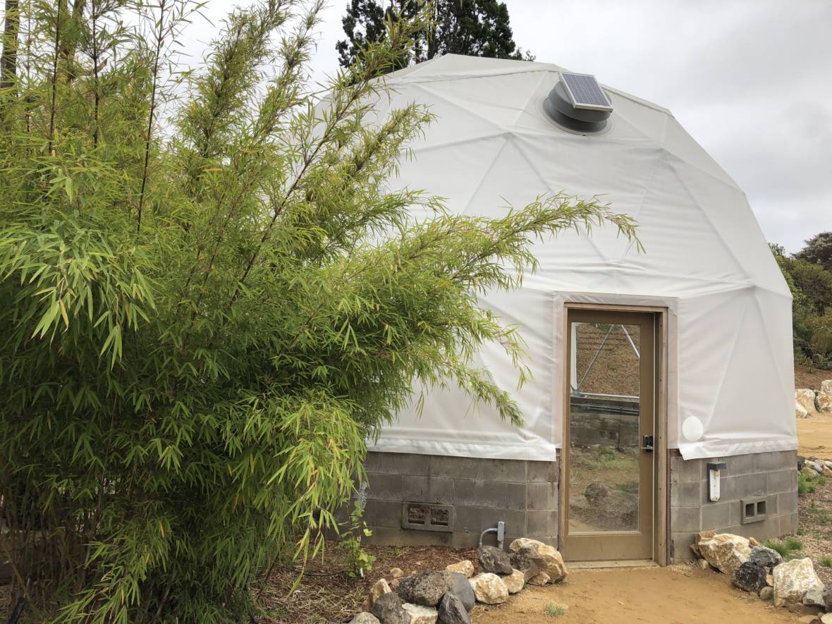 A Glimpse Into the Future of Northern California Plant Life | KQED