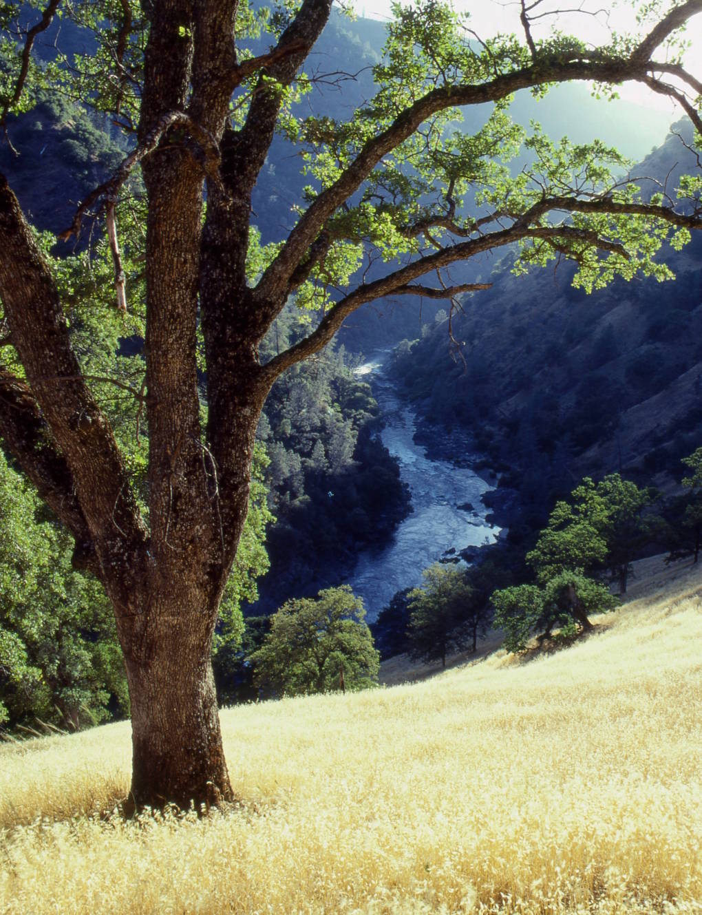 Can California's Wild and Scenic Rivers Stay That Way? | KQED