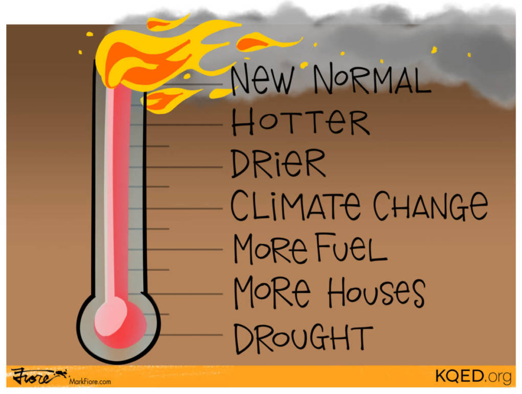 7 Climate Change Cartoons From Pulitzer Prize Winner Mark Fiore | KQED