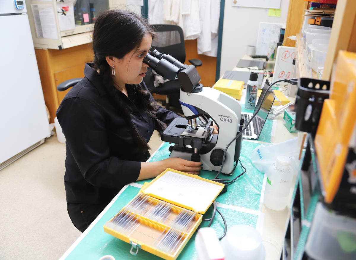 'Centers of Insurrection': Central Valley Farmers Reckon With Climate ...