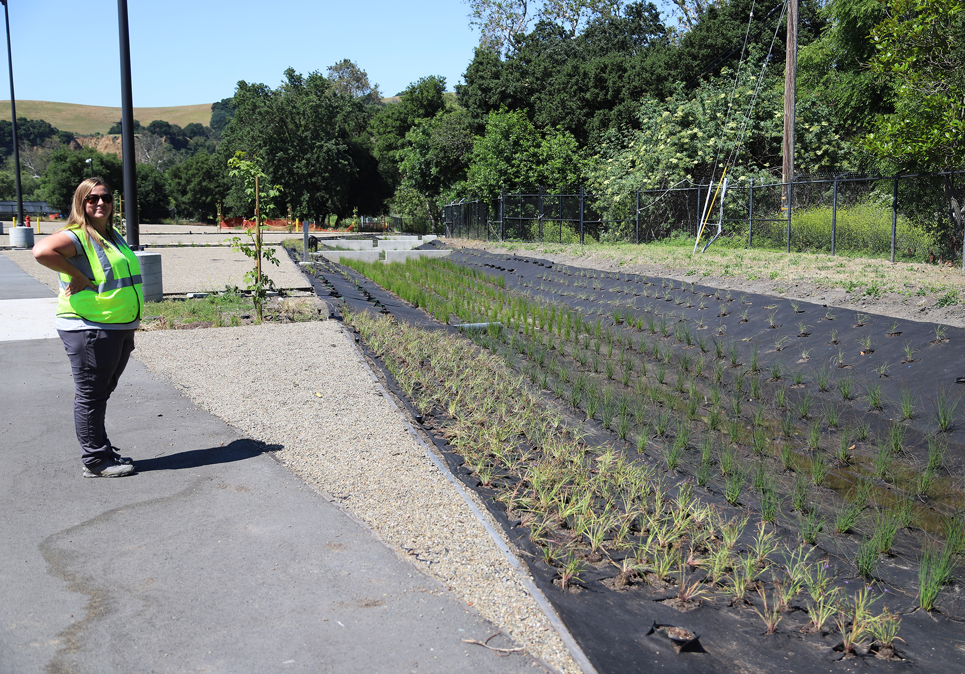 SFPUC Growing Plants in Hospital-Like Nursery to Protect Water Quality ...