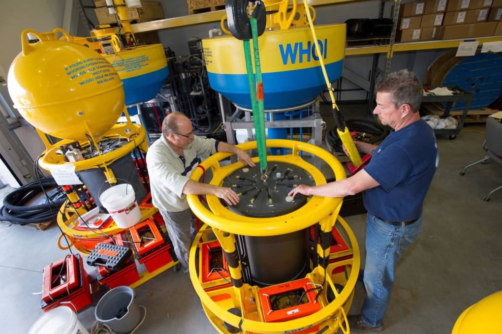 How Scientists Detect the Most Lethal Shellfish Toxin You've Never ...