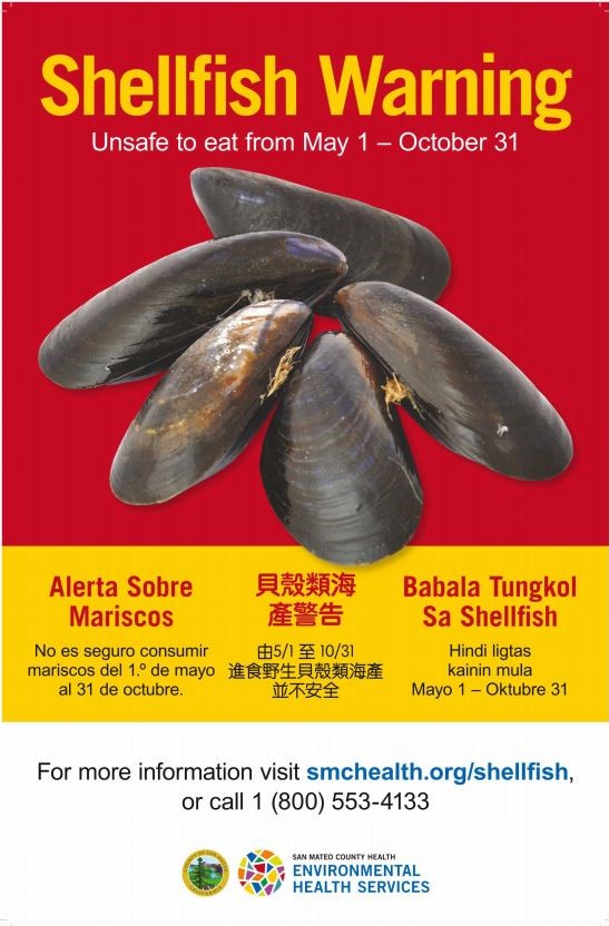 How Scientists Detect the Most Lethal Shellfish Toxin You've Never ...