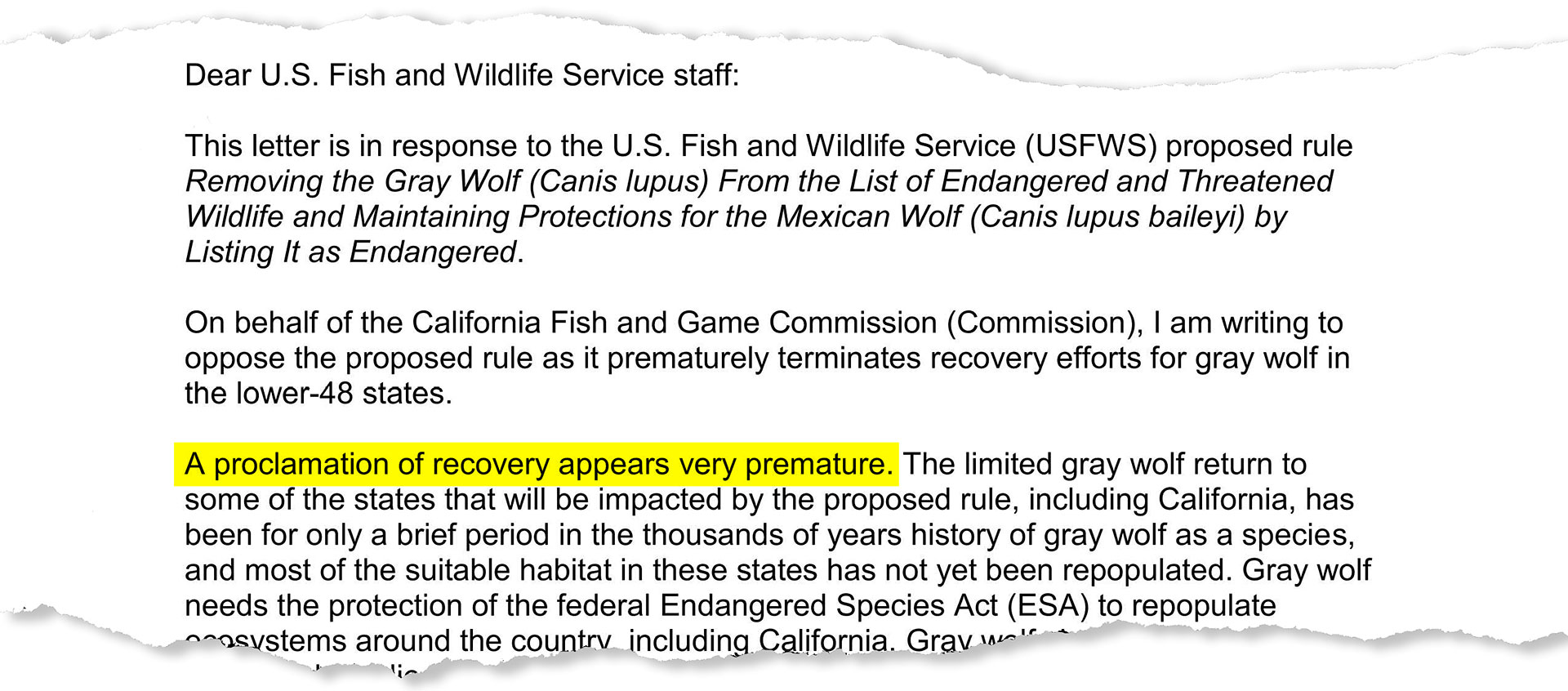 California Defends Wolves, Argues Against Feds Removing Protections | KQED