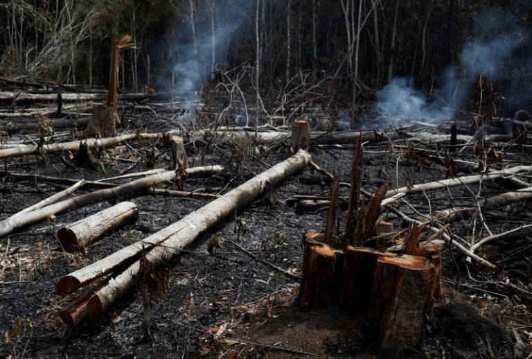 Harrowing Photos From the Amazon Rainforest Wildfires | KQED