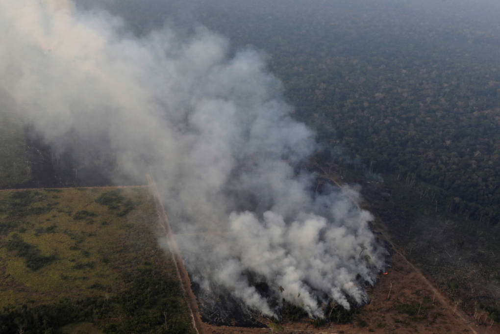 Harrowing Photos From the Amazon Rainforest Wildfires | KQED