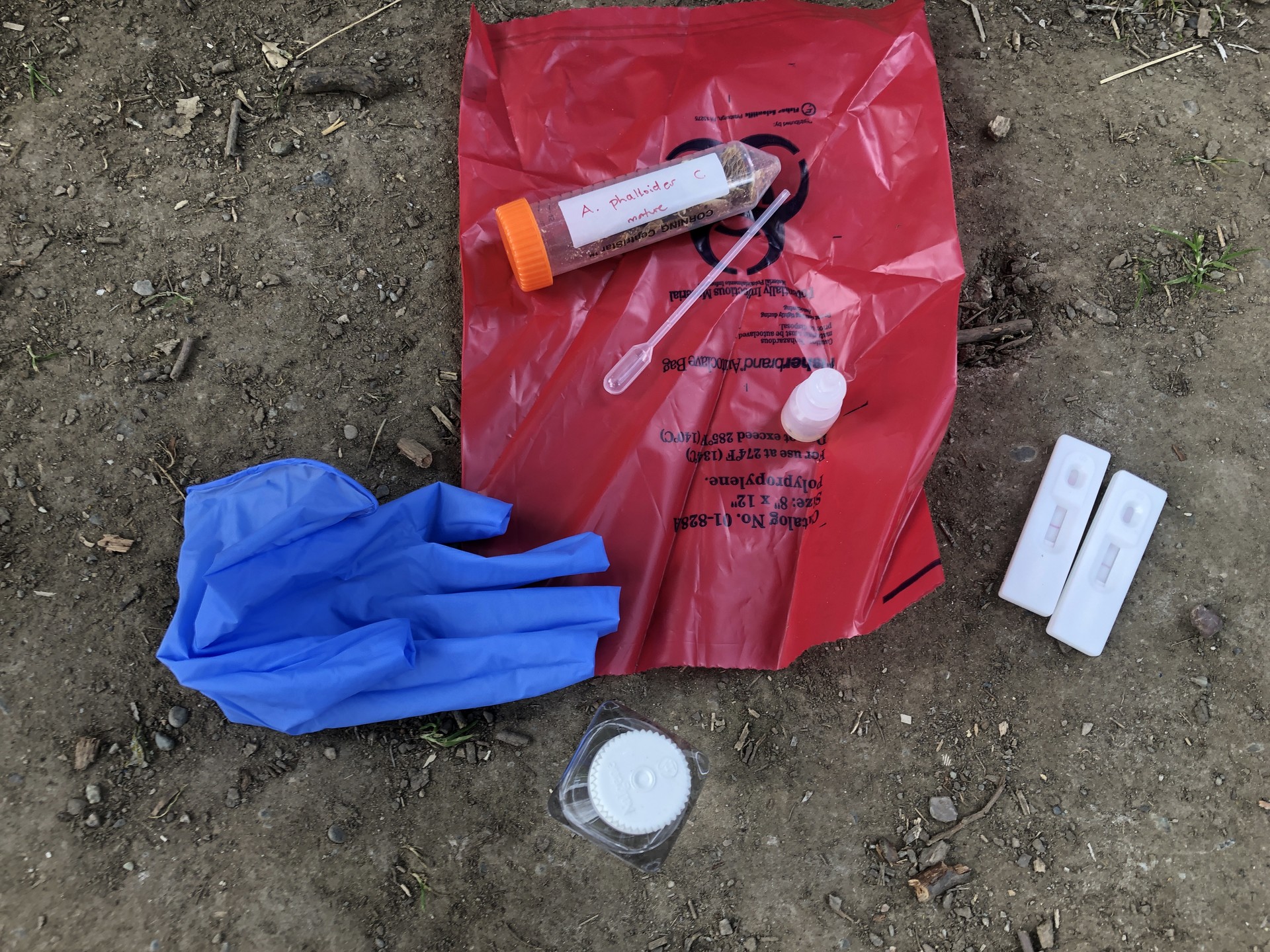 New Test Strips Detect Harmful Toxin in Some Common California ...