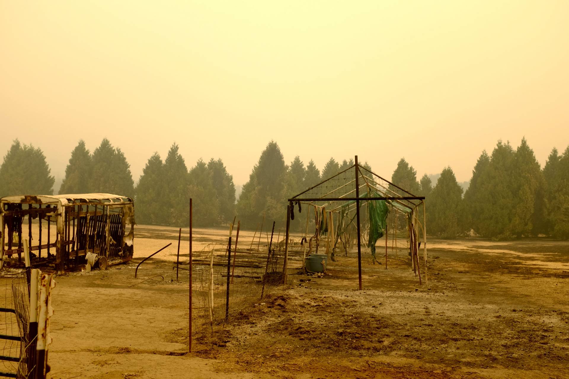 Caretaker Returns to Solano County Fire-Ravaged Farm: 'Like a War Zone ...