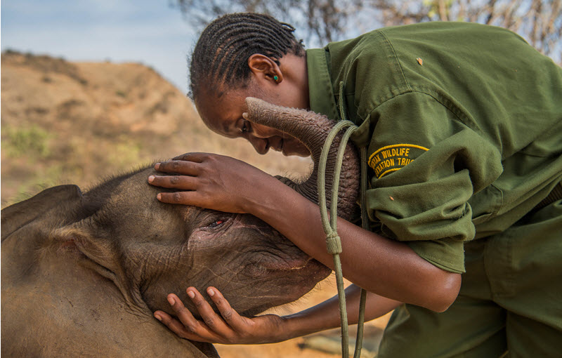 Earth Day 2021: 11 Bay Area Events to Get You Inspired | KQED